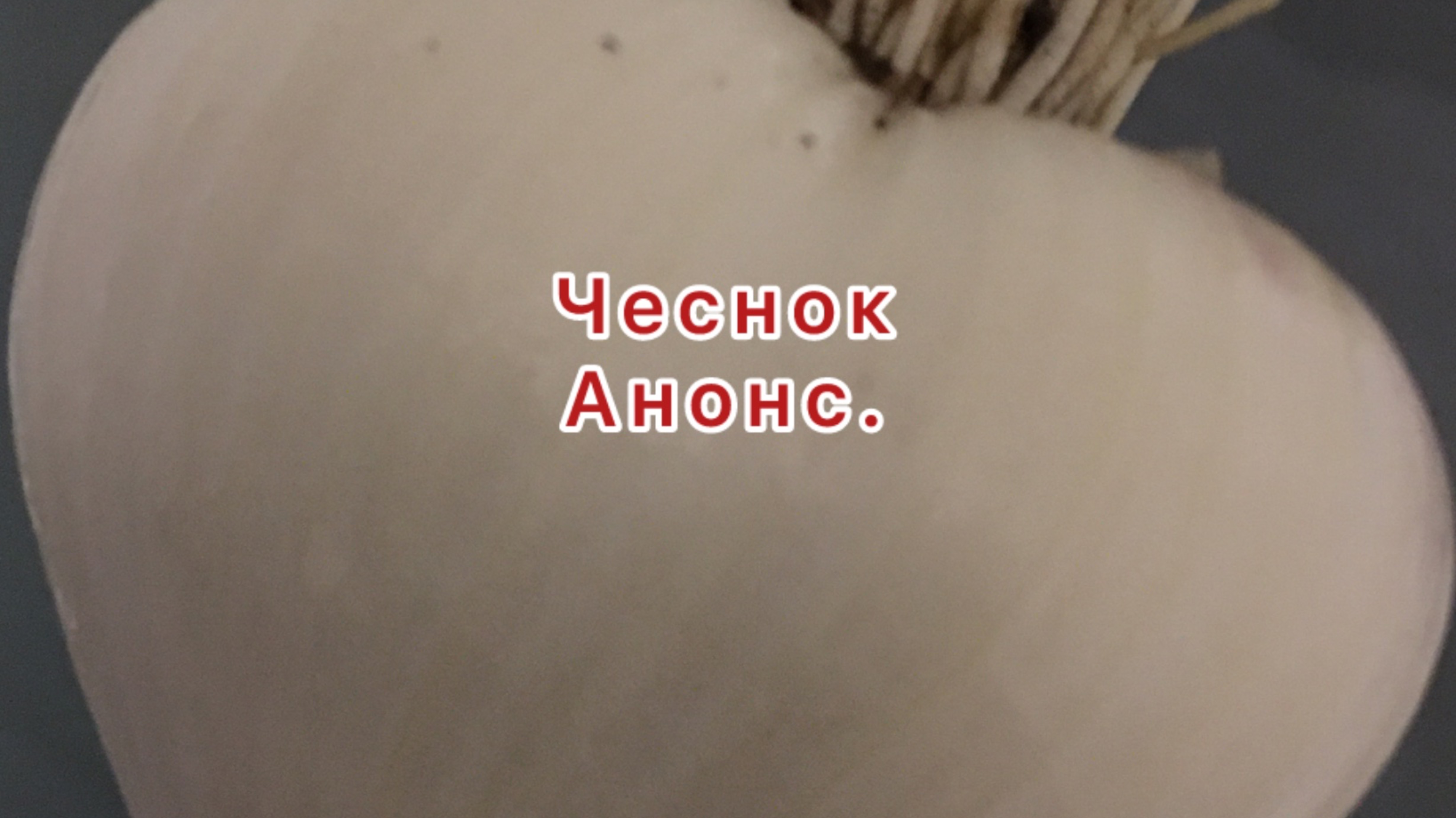 Чеснок - анонс.