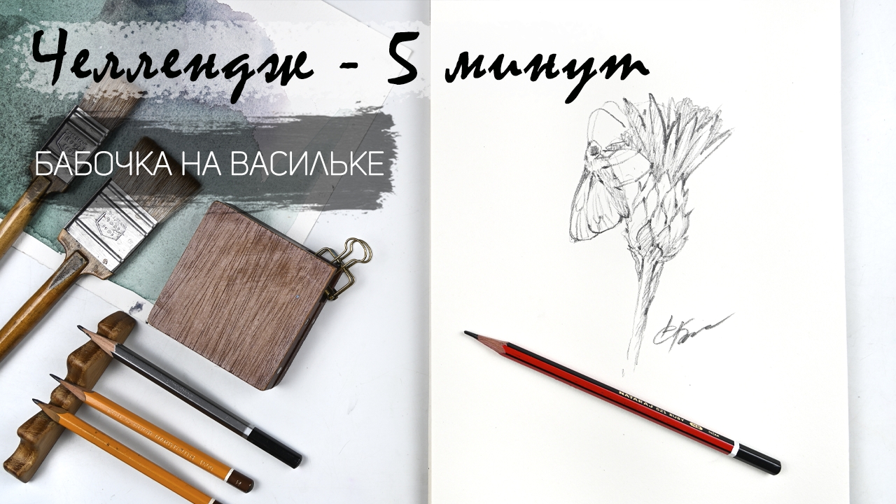 Бабочка на цветке за 5 минут простым карандашом. Рисуем регулярно. Быстрые наброски