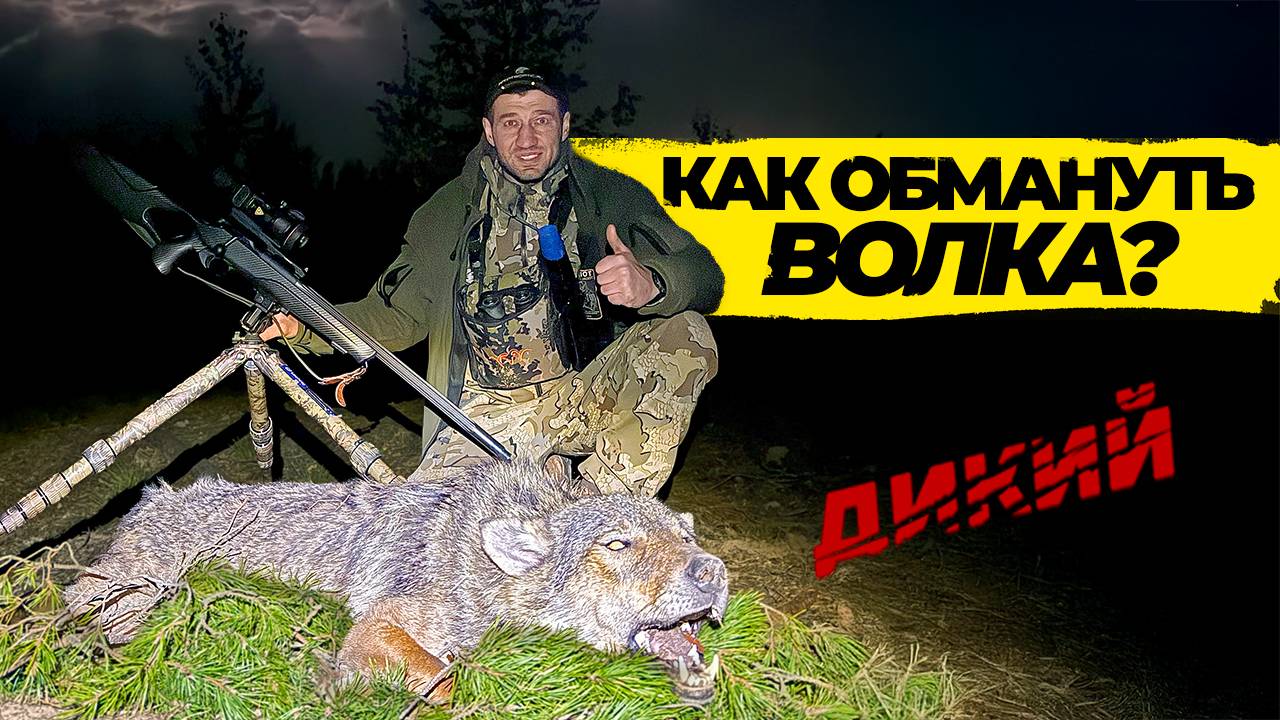 Как обмануть волка? Охота в Беларуси. Полное видео на "ДИКИЙ" ТВ.