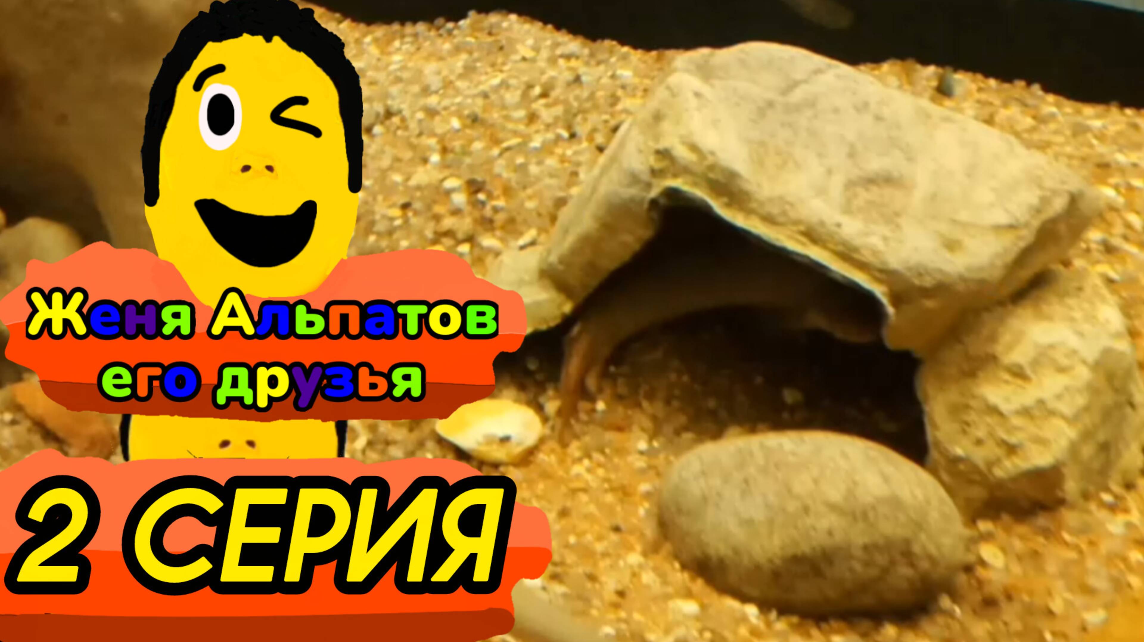 2 серия (Женя Альпатов его друзья)(мультсериал, 2025)