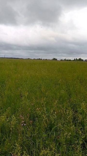 Фотопрогулка часть 11 - окончание