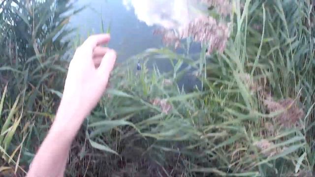 Легкий джиг на пруду/судак и окунь на съедобную резину.