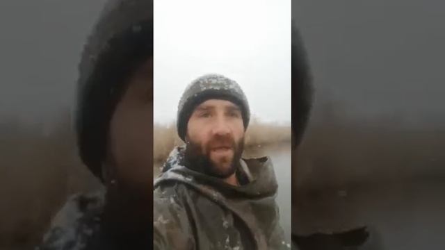 Дохнут птицы из за ядохимикатов