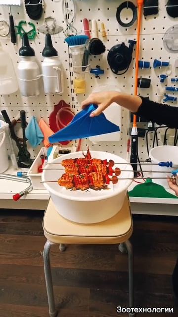 Пришла пора)