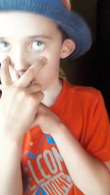 Назойливые комары