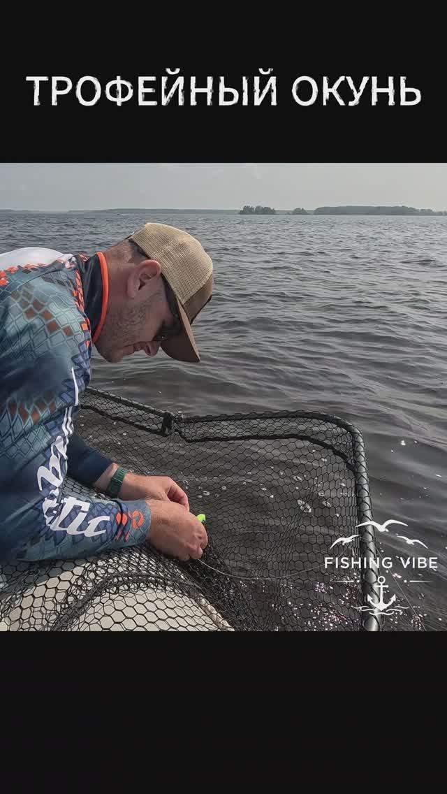 ТРОФЕЙНЫЙ ОКУНЬ!
