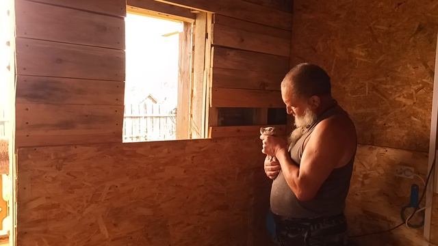 Кошка спрятала котят.