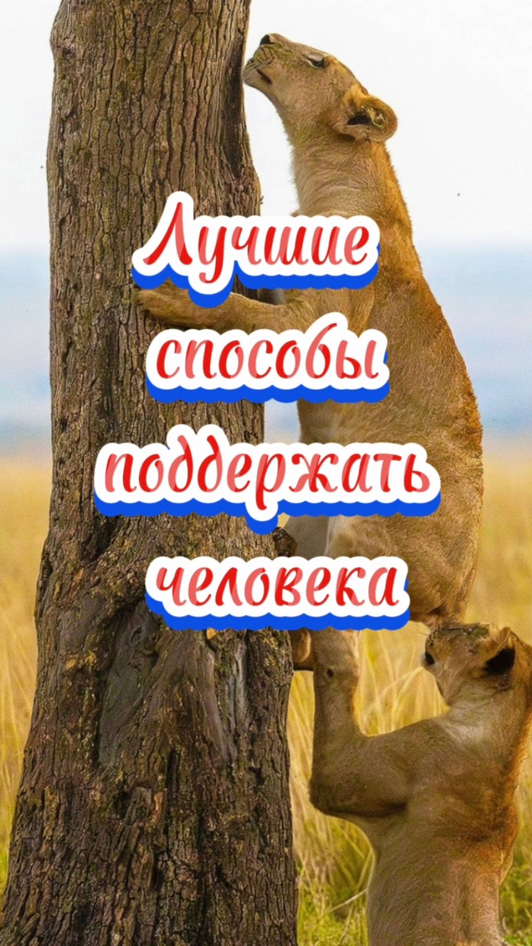 КАК поддержать близкого  человека в сложной жизненной ситуации
