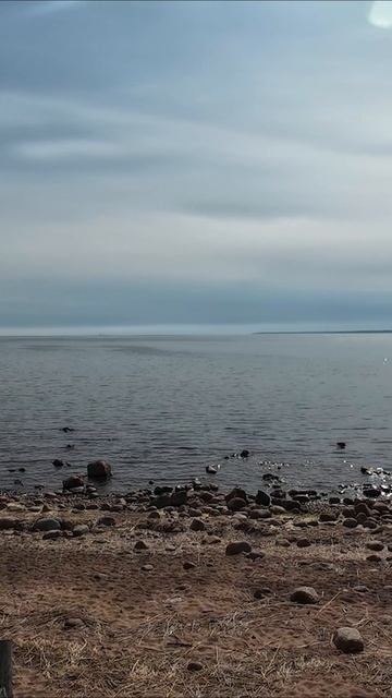 200 километров из принципа и против ветра.