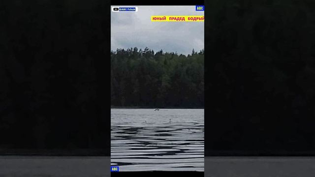 Завершение июня заплывом 30.06.2025 (END) #юныйпрадедбодрыйдед #авсарх