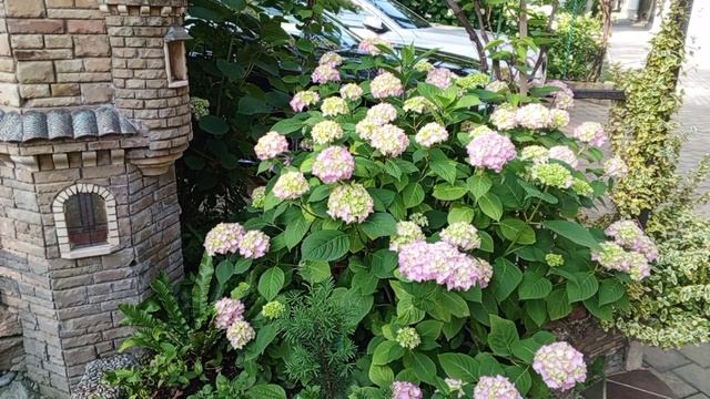 Кошечка в замке с черепашками 1 сезон