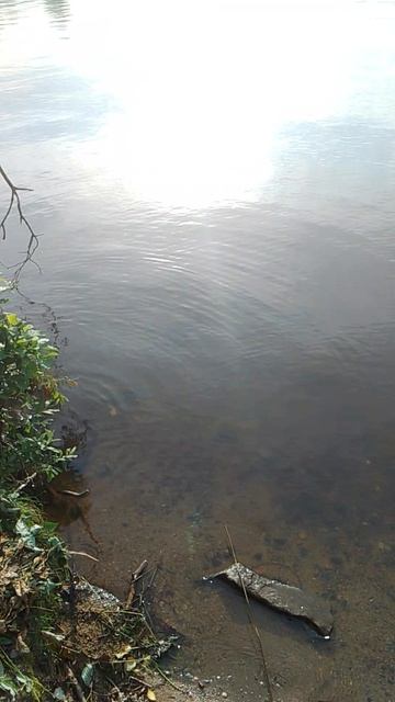 интерференция волн