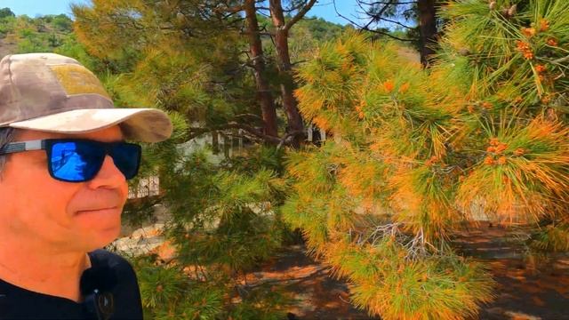 КРЫМ СЕГОДНЯ. КУРОРТ КАНАКА. ЕСТЬ ДВЕ НОВОСТИ... ПОДГОТОВКА К СЕЗОНУ 2024 В ПОЛНОМ РАЗГАРЕ!