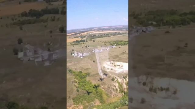 Грачи за работой