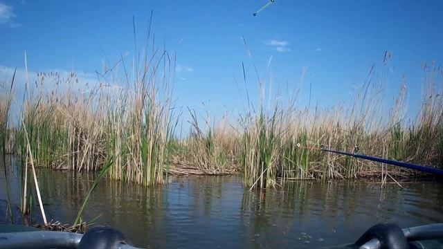 Рыбалка с лодки на поплавок в камышах весной 2022! Ловля карася на поплавок с мормышкой!