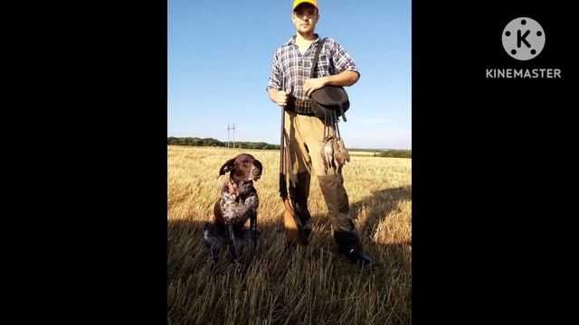 Эльза ушла в страну вечной охоты