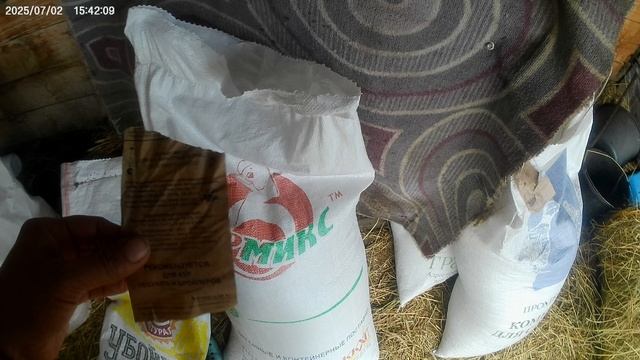 Обзор кормов для бройлеров.