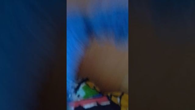 Убийство короля чёрно чёрных