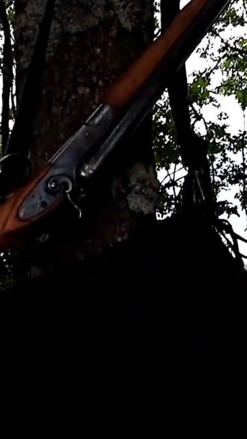 Охота на перепела 2023. Добыл норму.