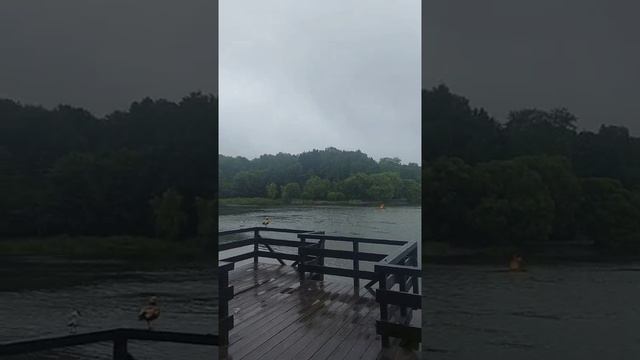 ТЕМ ВРЕМЕНЕМ...01.07.2025...ДОЖДЛИВОЕ УТРО В ПАРКЕ "ПОКРОВСКОЕ-СТРЕШНЕВО"