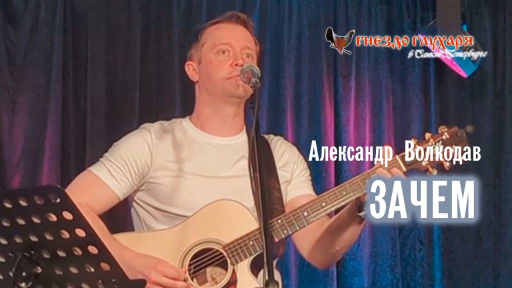 "ЗАЧЕМ" Александр Волкодав - "Гнездо глухаря" Питер 28.06.2025 #александрволкодав #концерт #голос