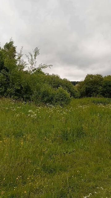 Фотопрогулка часть10 - правильный кадр