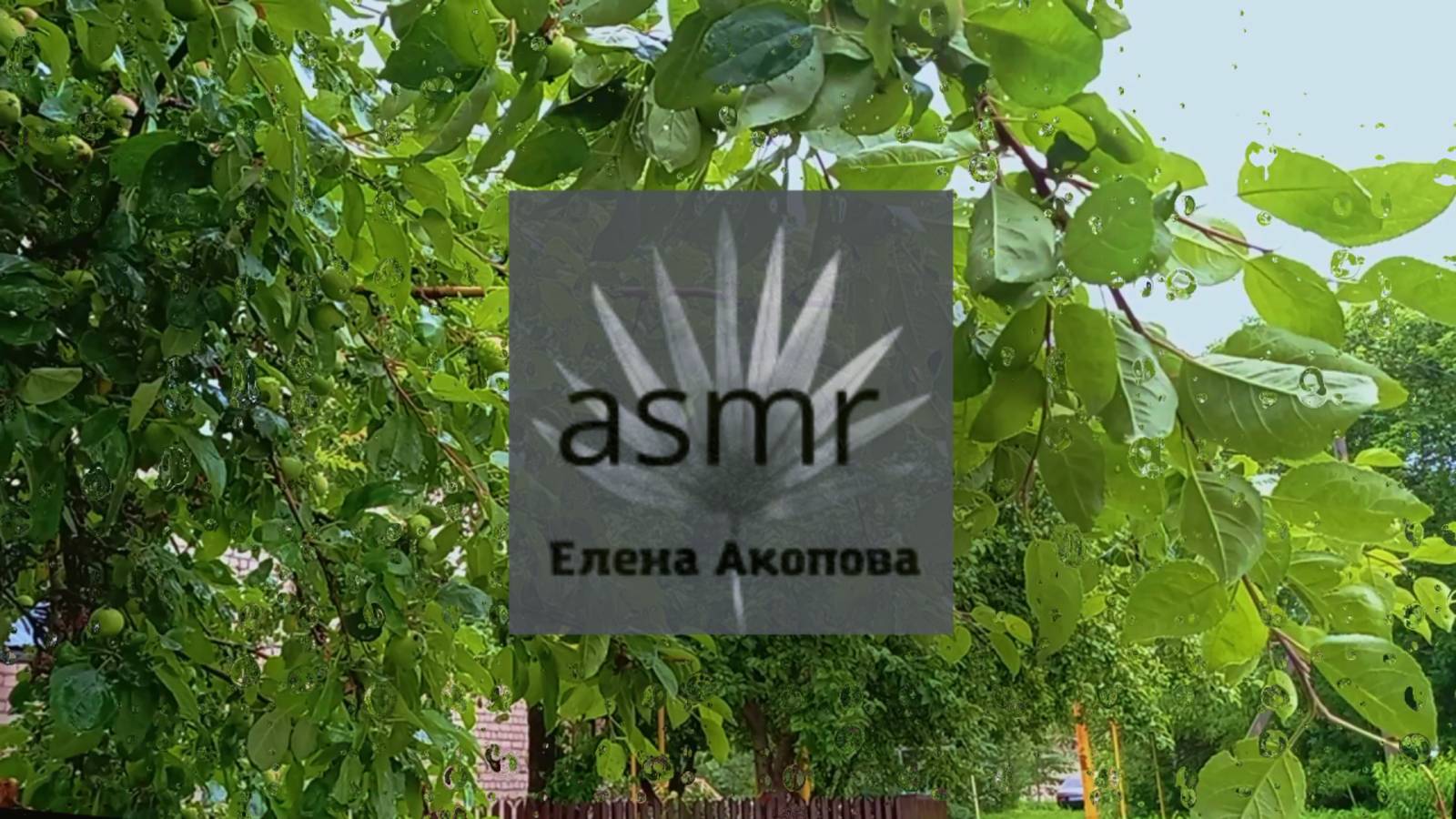 Яблони у дома под дождем. Расслабляющий шум дождя