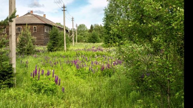 "ВОЛОГОДСКОЕ ЛЕТО"... (Фото Фёдора КОВАНСКОГО (Вологда), музыка Марса ЛАЗАРА (Австралия))