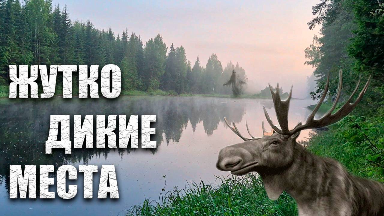 СПЛАВ ДЛИННОЮ В ЖИЗНЬ