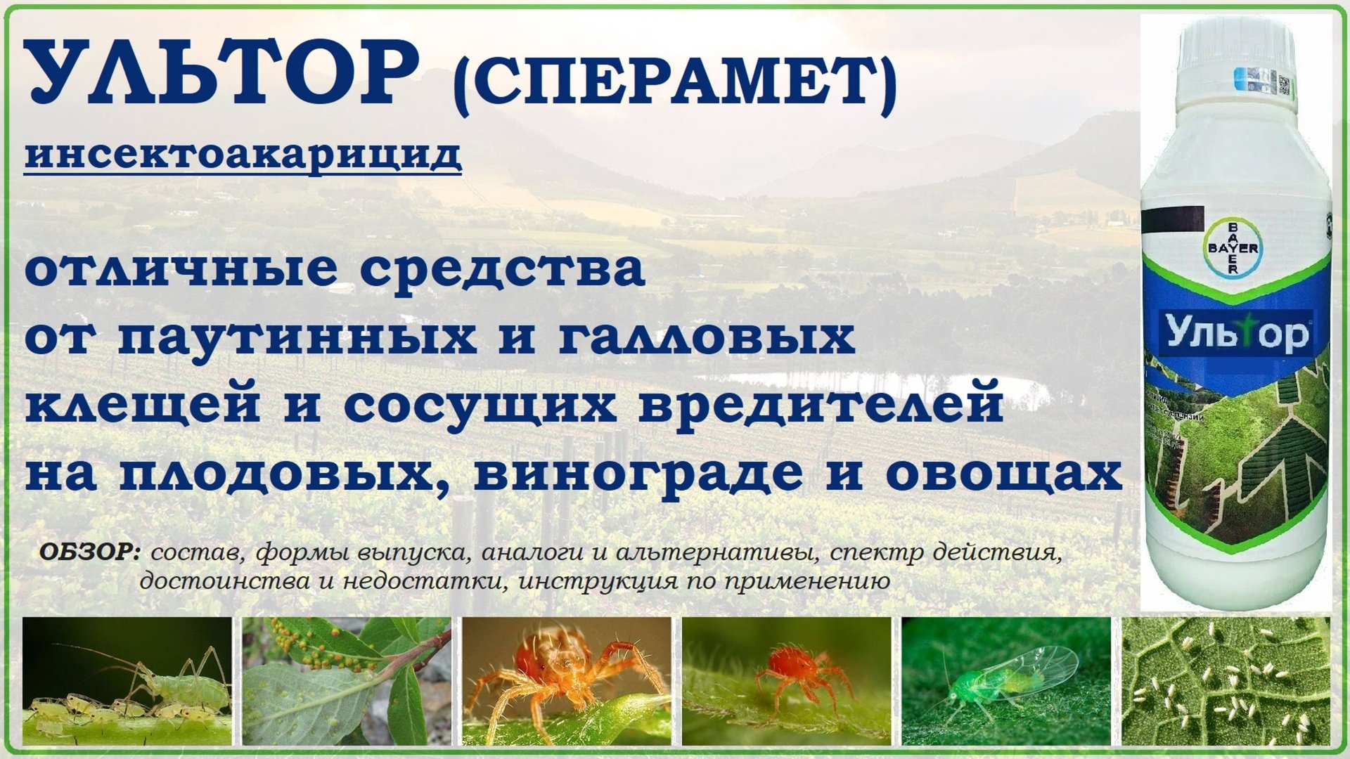 Ультор и Сперамет - отличные средства от клещей и сосущих вредителей на
плодовых, винограде и овощах