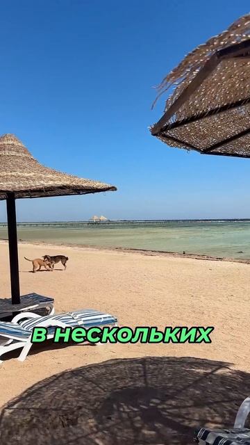 Набк — самый удалённый район Шарм-эш-Шейха