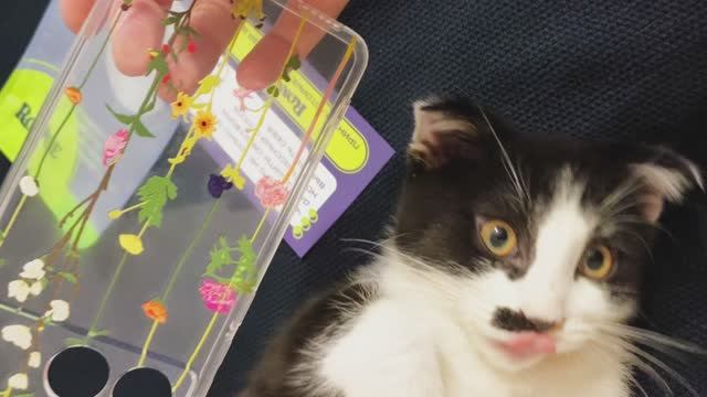 Распаковка OZON