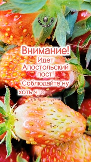 Важное послание...💌
