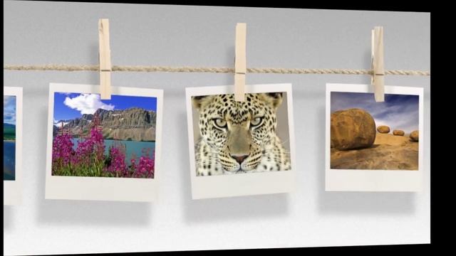 Movie Magic 006 (Songs)