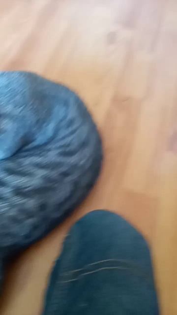 Вычёсываю кошку