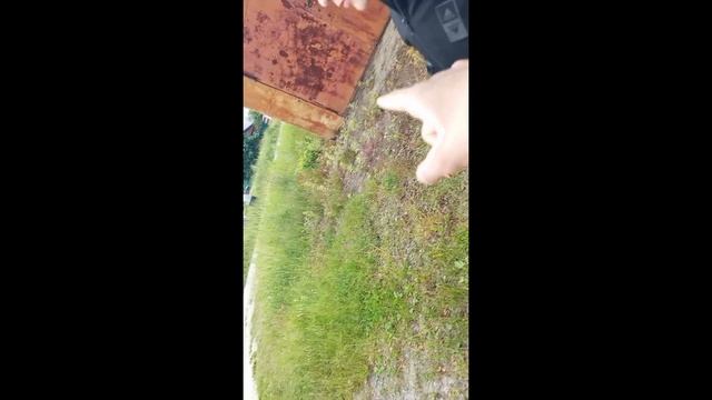 Поездка на великах втроём!