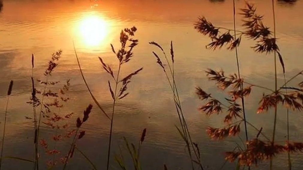 🌜🌃✨ Хорошего вечера.