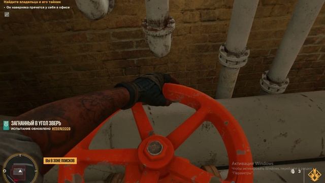 Тайник "Храбрость в бутылке" [Anybody home?]