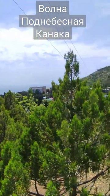 Канака. Минипансионат "Волна Поднебесная". Крым 2022.