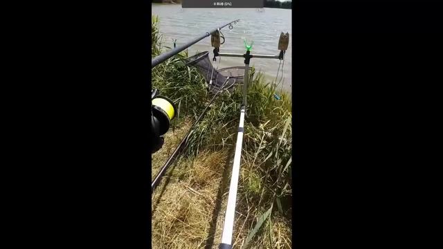 Карп на флэт (с поклевками и рыбой!). Ульяновка, Минераловодский р-н.