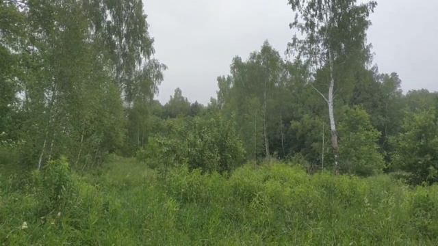 Альшанский сад на выезде. В усадьбе Новосильцевых.