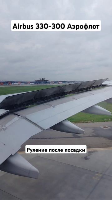 Руление после посадки Аэробус А330 Июнь 2024