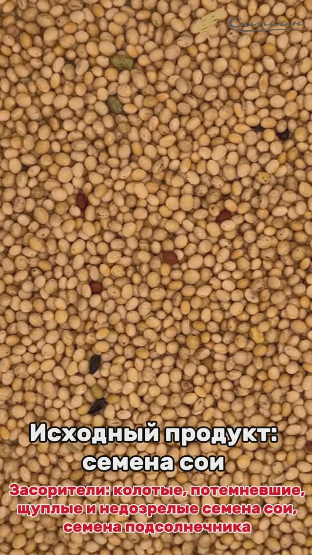 Сортировка семян сои на фотосепараторе Сапсан SEA4