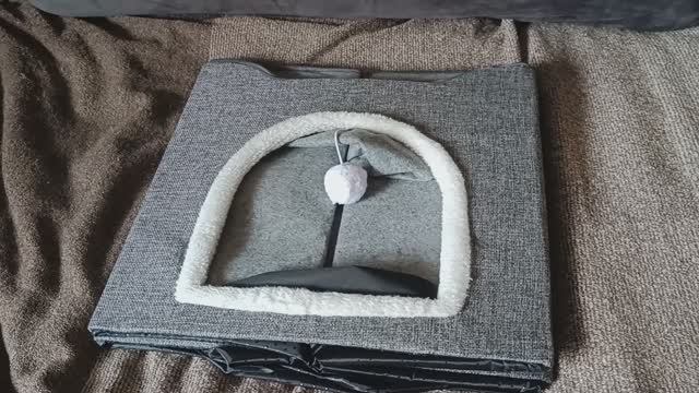 # 15 Покупки с Озон. Для питомцев и для себя