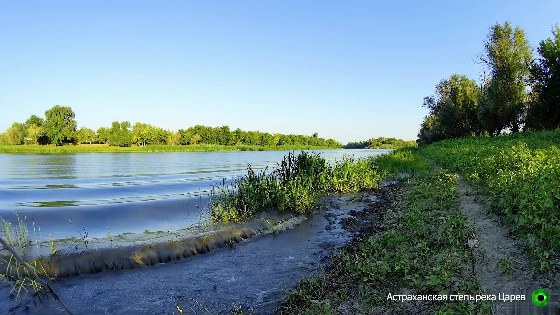Шум реки, пение птиц: звуки природы для релаксации, сна и медитации