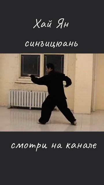 Хай Ян Баши или 8 позиции из синъицюань