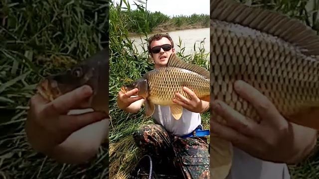 Показываю улов 6ти часовой рыбалки на флэт.