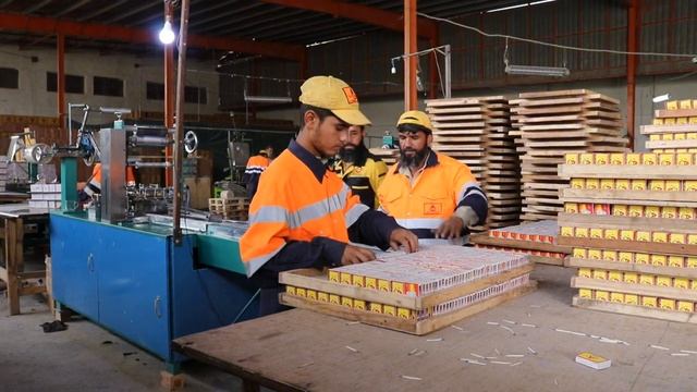 Amazing Matchsticks manufacturing process in factory Factory Mass Production of matches sticks