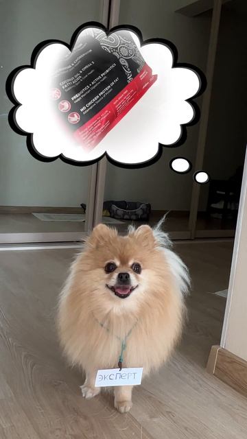 Не пренебрегайте советами экспертов и будете сыты!