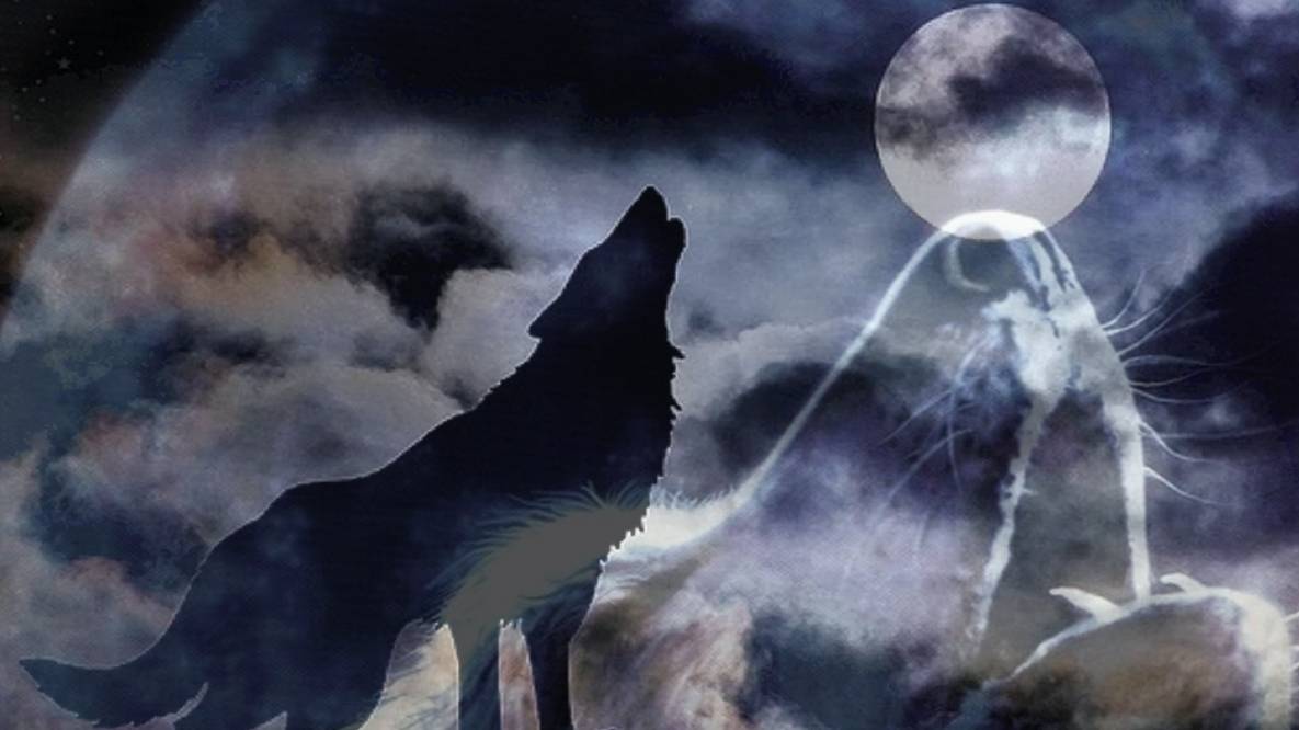 Жизнь полосатая. Песня на стихи Алисы Чин